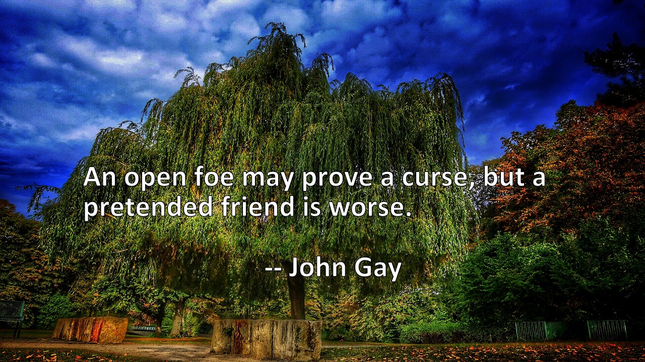 13 Quotes About Curse