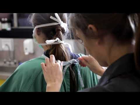 Where can a Bachelor of Veterinary Technology from UQ take you?