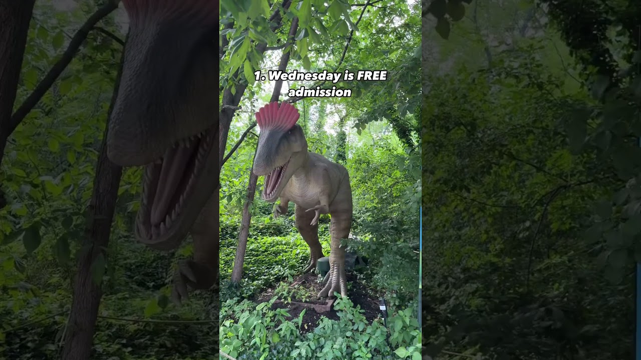 How to Visit the Bronx Zoo for FREE 🦁 #bronxzoo