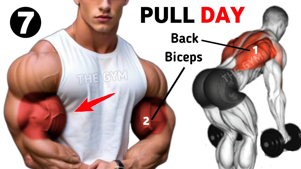 7 Perfect Pull Day Workout (Back And Biceps)
