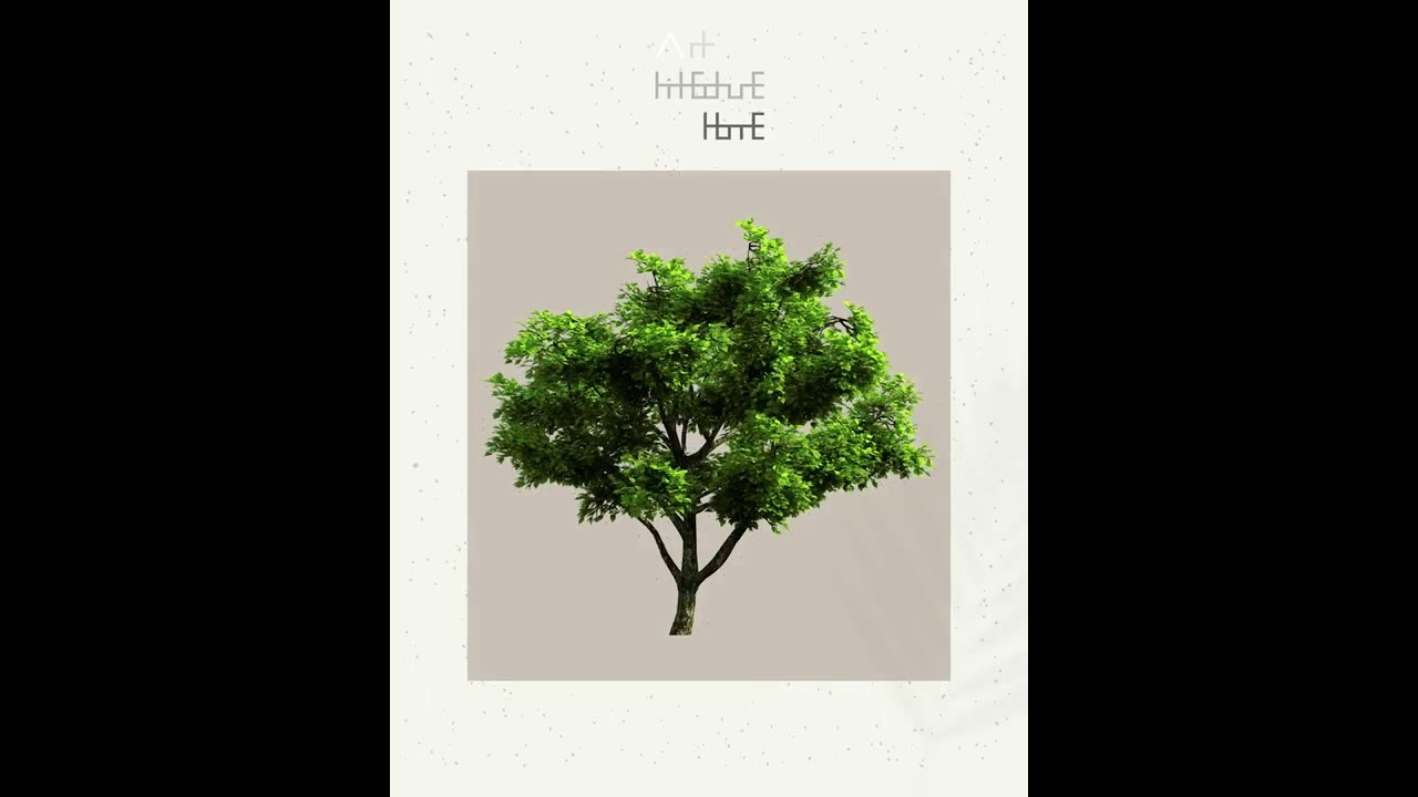 Real Tree Cliparts - field maple - photoshop overlays png, Tree layout, transparent background