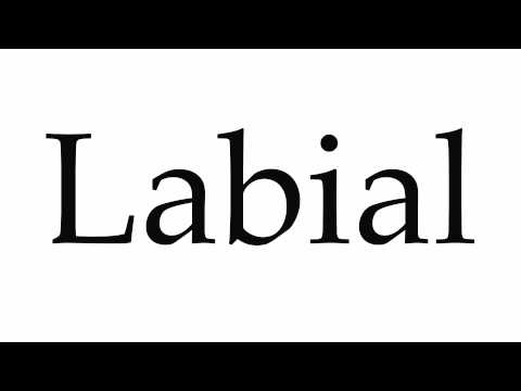 How to Pronounce Labial