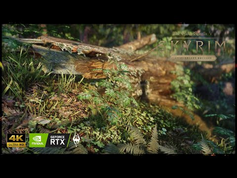 4K ULTIMATE GRASS COMBO 2022 | NEXT GEN GRAPHICS | Rudy ENB | Skyrim SE/AE