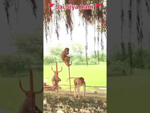 durga baby daily life vlog 1m, durga baby daily life vlog 1m xxv, xxv, #shortsfeed #trendingshorts