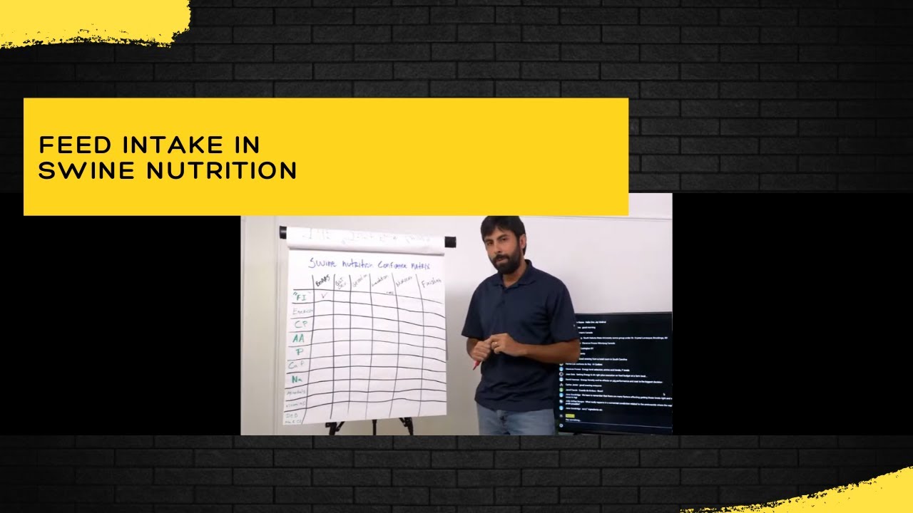 Feed intake in swine nutrition