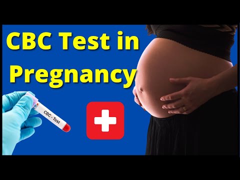CBC in Pregnancy | Preparation, Procedure and Results Explained