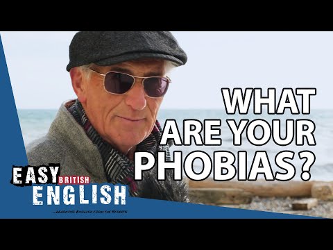 What Are Your Phobias? | Easy English 52