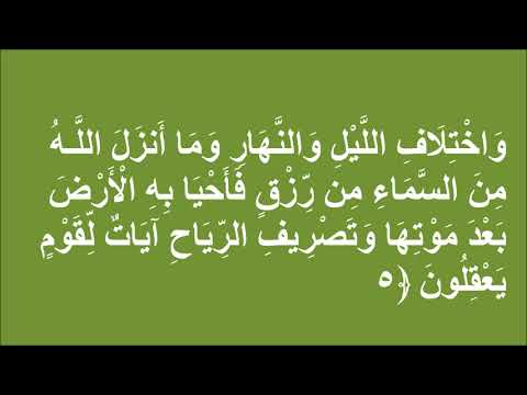 Casharkii 202, Tafsiirka Al-Jaathiya 1 ilaa 37 Sh. Cumar Faaruuq (AUN)