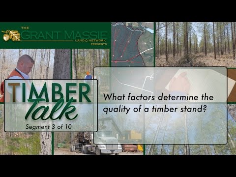 Timber Talk: What factors determine the quality of a timber stand? (3 of 10)