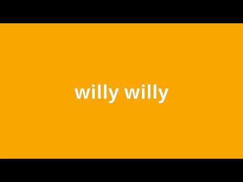 what is the meaning of willy willy