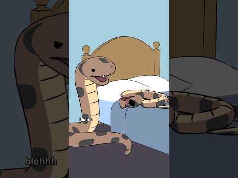 The hognose snake will play dead when threatened. If turned onto its stomach it will flip back over