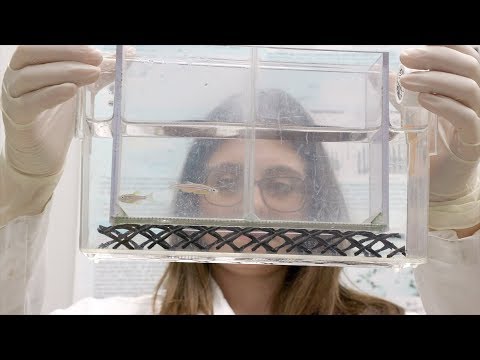 UI grad makes discoveries in the lab and dance studio