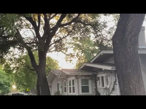 Family Claims They Can’t Get Homeowners Insurance Because Of City Trees