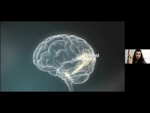 Brain Development in Early Childhood Education