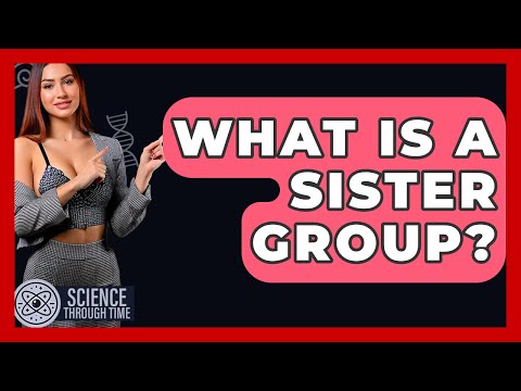 What Is A Sister Group? - Science Through Time