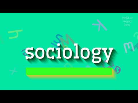 How to say "sociology"! (High Quality Voices)