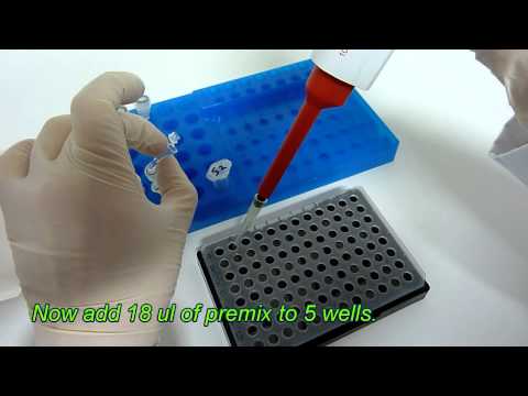 RT PCR Test Kit - PCR Kit Latest Price, Manufacturers & Suppliers