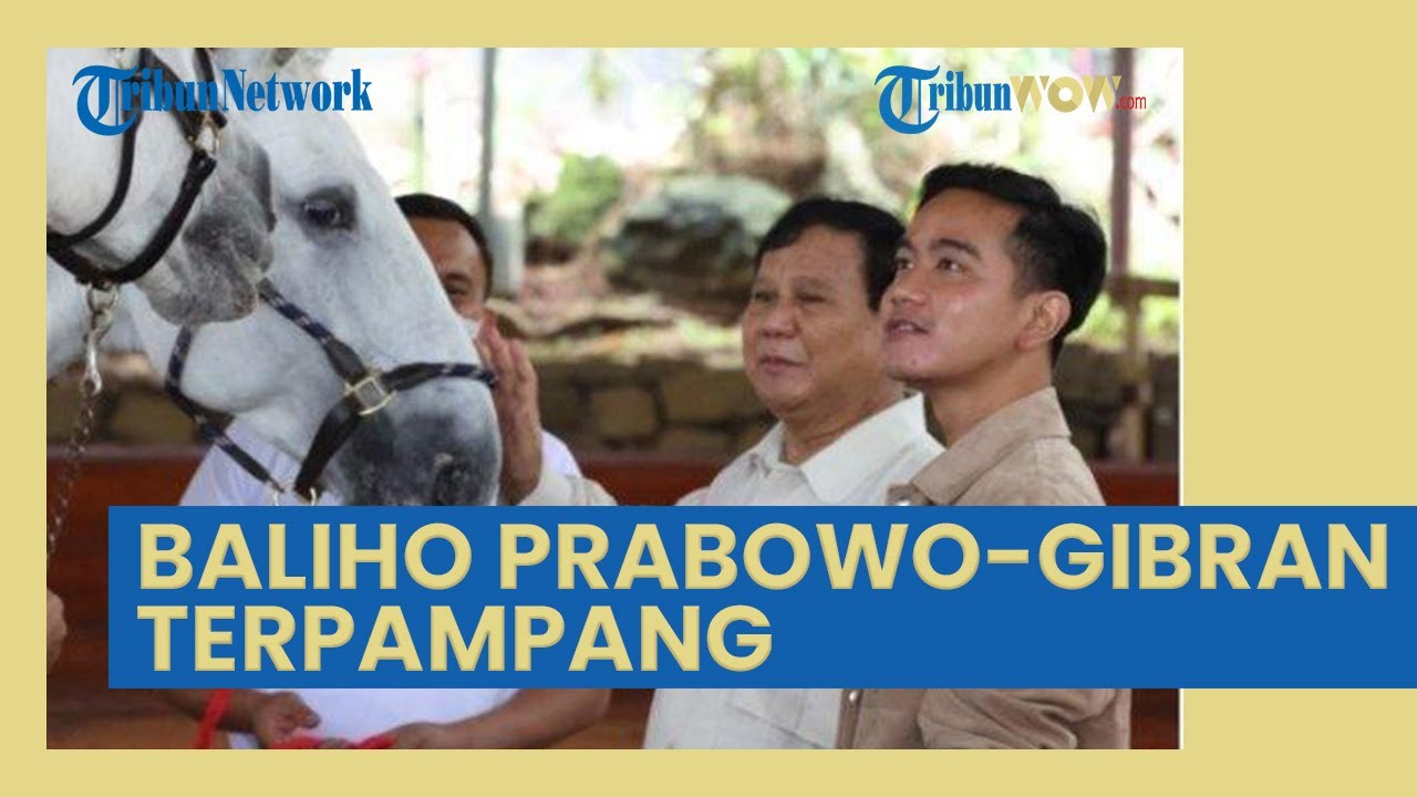 Baliho Prabowo-Gibran Terpampang di Labuan Bajo, Dipasang 3 Hari Lalu, Gerindra Bilang Begini ...