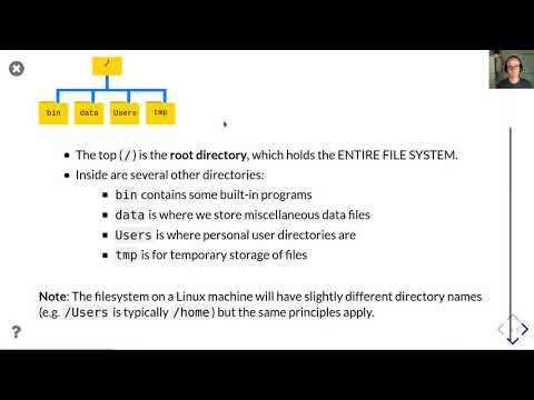 QLSC 612 2021 - 02 Introduction to the BASH shell