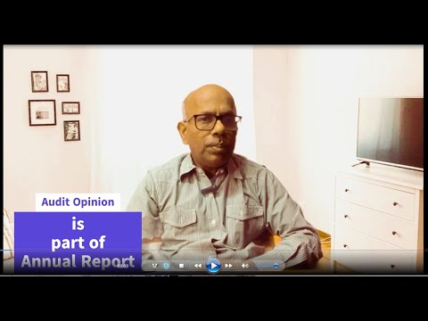 What is Audit Opinion?