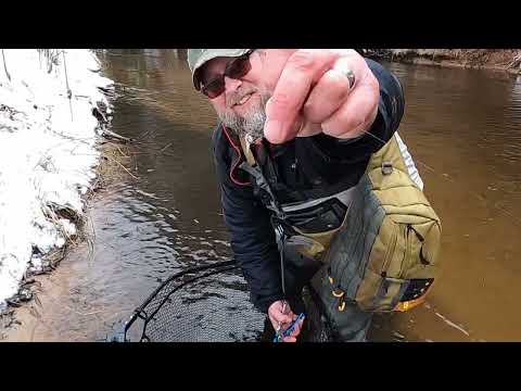 Spring Steelhead Trip to Michigan 2024