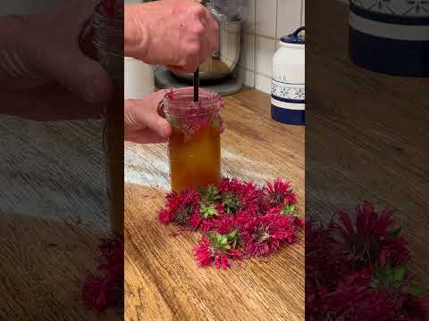 3 Reasons Why You SHOULD Grow This Plant in the Garden