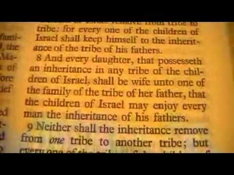 Numbers 36 Holy Bible (King James)