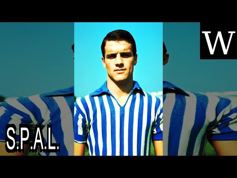 S.P.A.L. 2013 - WikiVidi Documentary