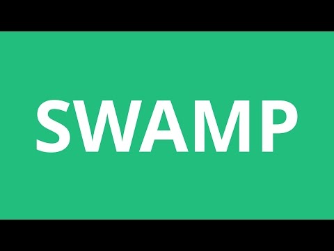 How To Pronounce Swamp - Pronunciation Academy