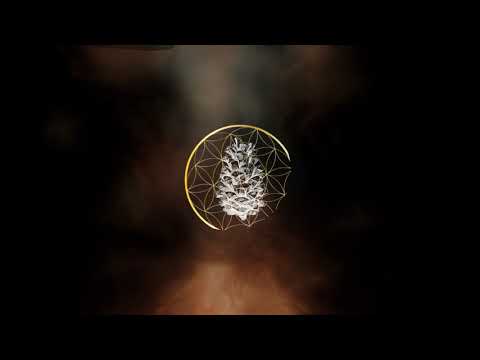 Pyrophytic Flow Logo Design