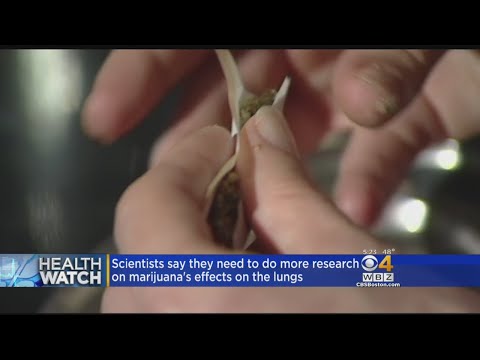 HealthWatch: Marijuana Impact On Lungs; Spatial Memory Connected To Smell?