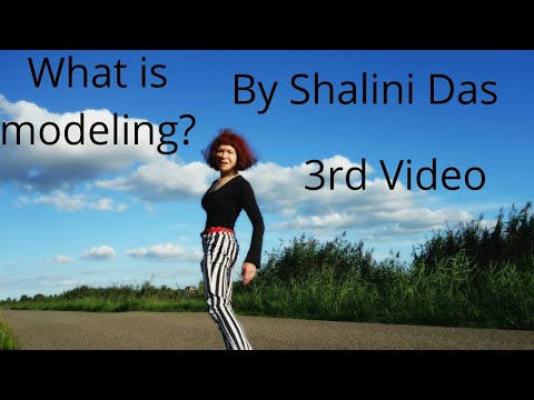 What is modelling?| Shown by an Art|