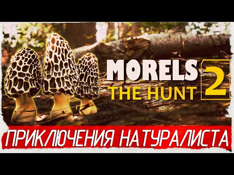 Steam Community :: Video :: ПРИКЛЮЧЕНИЯ НАТУРАЛИСТА - Morels: The Hunt ...