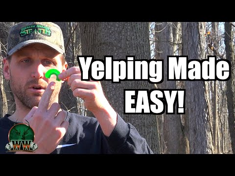 Learn How to Yelp in 3 Steps | Turkey Mouth Call 101