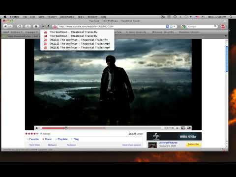 Using a FireFox Addon to Download Flash Videos
