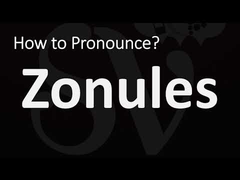 How to Pronounce Zonules? (CORRECTLY)