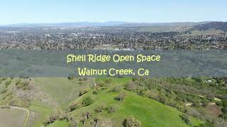 3 Best Hiking Trails in Walnut Creek, CA - Expert Recommendations