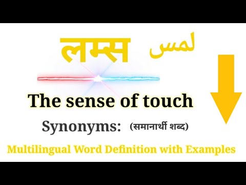 लम्स - The sense of touch || Multilingual Word Definition with Examples
