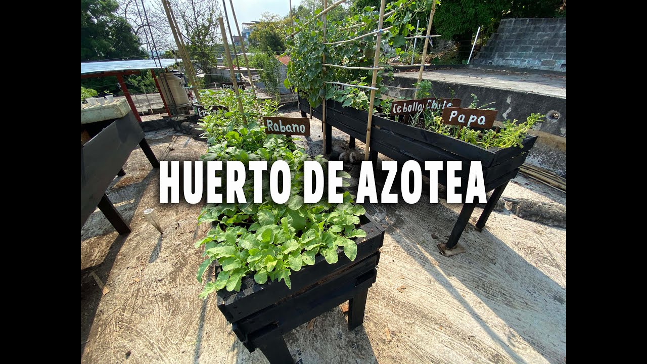 Huerto de Azotea hecho por Techo Verde