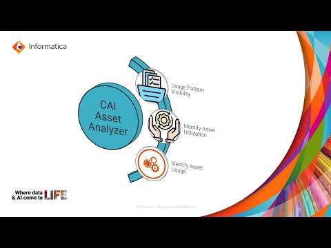 IDMC Assurance Service CAI Asset Analyzer