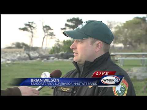 Weather Wednesday: Odiorne Point State Park