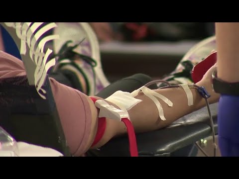 COVID-19 doctors explain qualifications for plasma donation as part of treatment