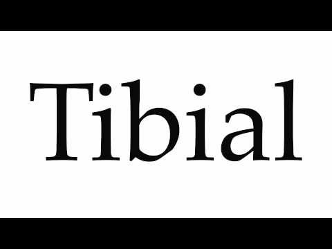 How to Pronounce Tibial