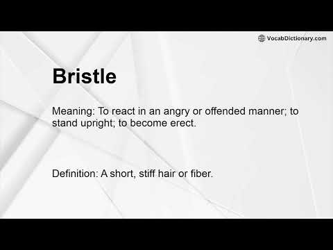 Bristle Meaning