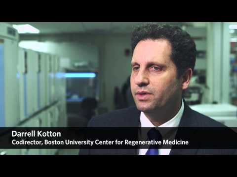 iPS Cells at the CReM