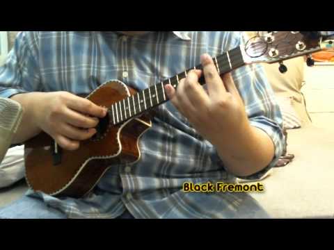 Aquila New nygut VS Black fremont tenor strings