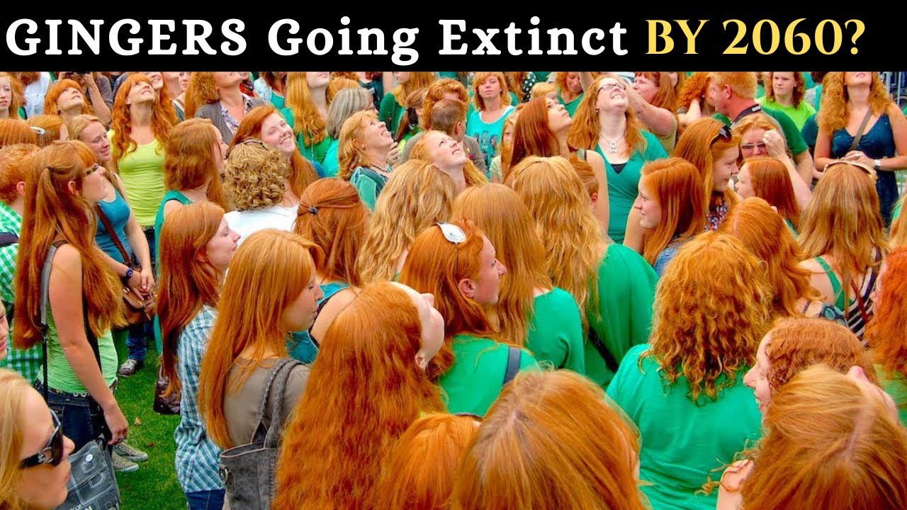 Why Redheads Are Going Extinct — The DNA Truth