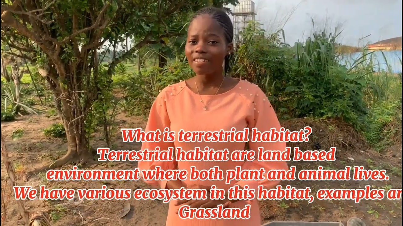 BASIC SCIENCE-JSS2-FIRST TERM-WEEK 1