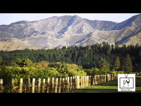 Learn about New Zealand Wine: Sauvignon Blanc and Beyond - Wine Oh TV