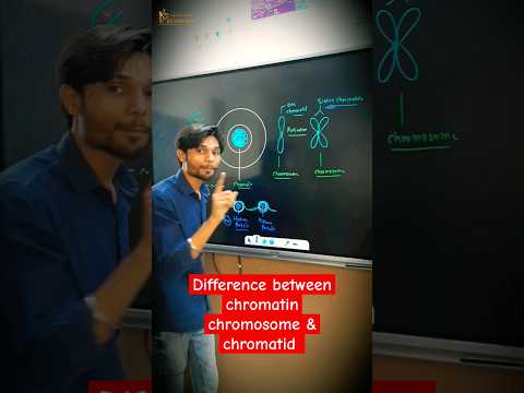 What is the difference between chromatin, chromosome & chromatid π₯π #biology #cbse #k2institute